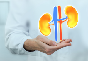 What Are the Causes and Solutions for Kidney Problems and Failure?